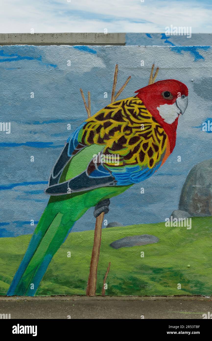 Eastern Rosella Street Art by Eric Sesto, Tooborac, Victoria, Australia ...