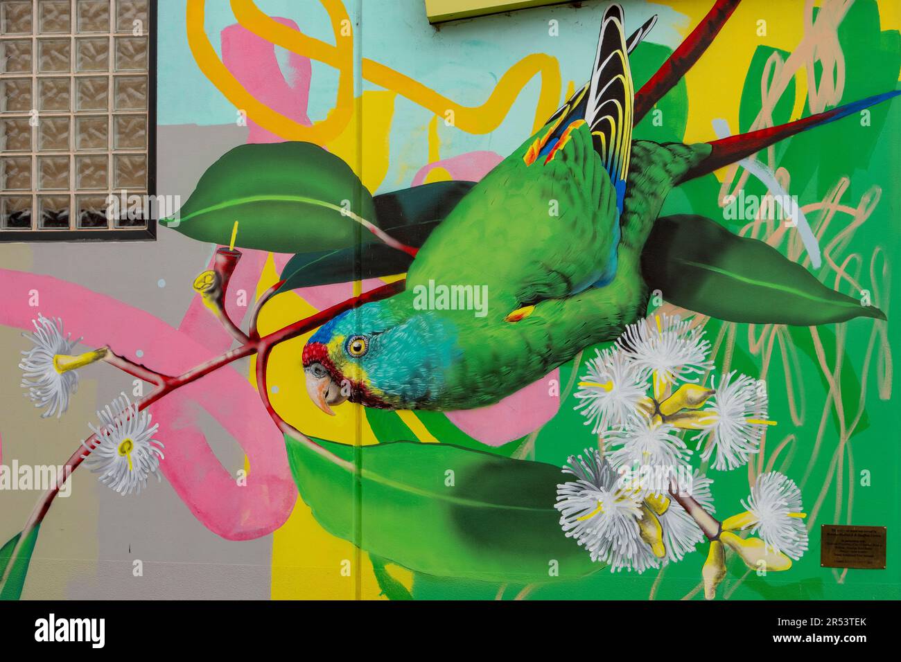 The swift parrot hi-res stock photography and images - Alamy