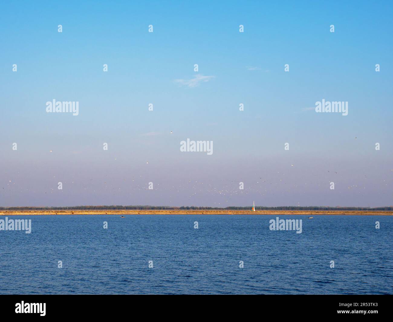 A large flock of birds flying above the Kyiv sea spit, calm blue water ...