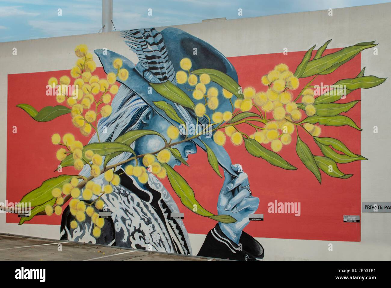 Blue Lady Street Art by Jack Fran, Bath Lane, Bendigo, Victoria ...