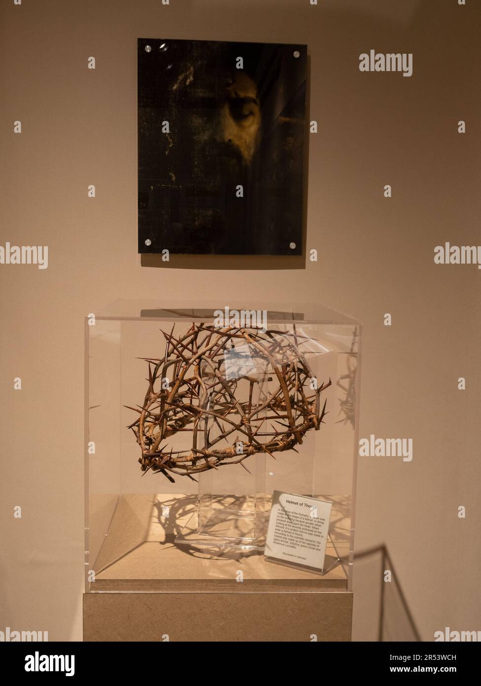 Crown or helmet of thorns and image of the man of the shroud on display ...