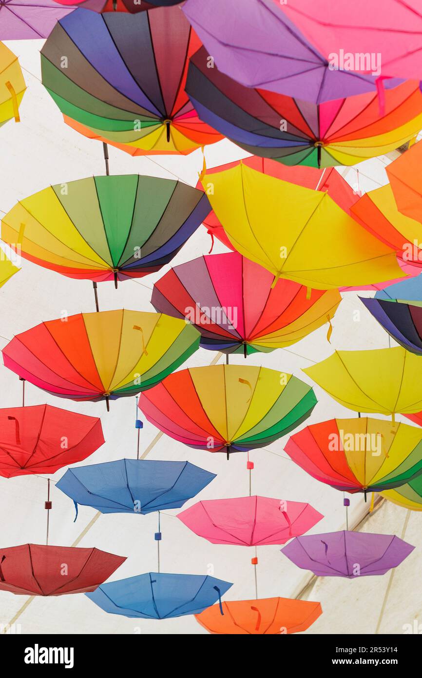 Folk music, clog dancing, Morris Dancers - colourful scenes from ...