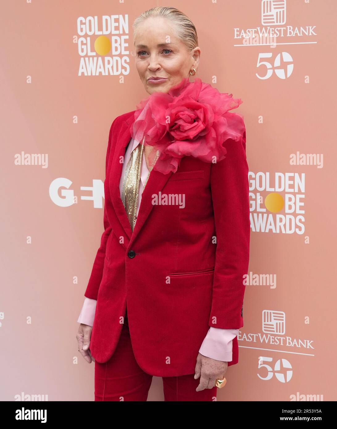 Los Angeles, USA. 31st May, 2023. Sharon Stone arrives at The Hollywood ...