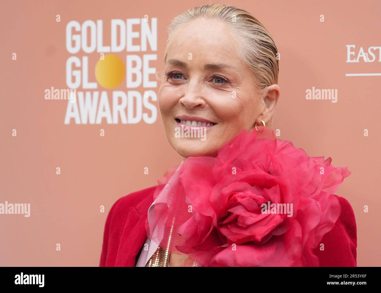 Sharon stone 2023 hi-res stock photography and images - Alamy