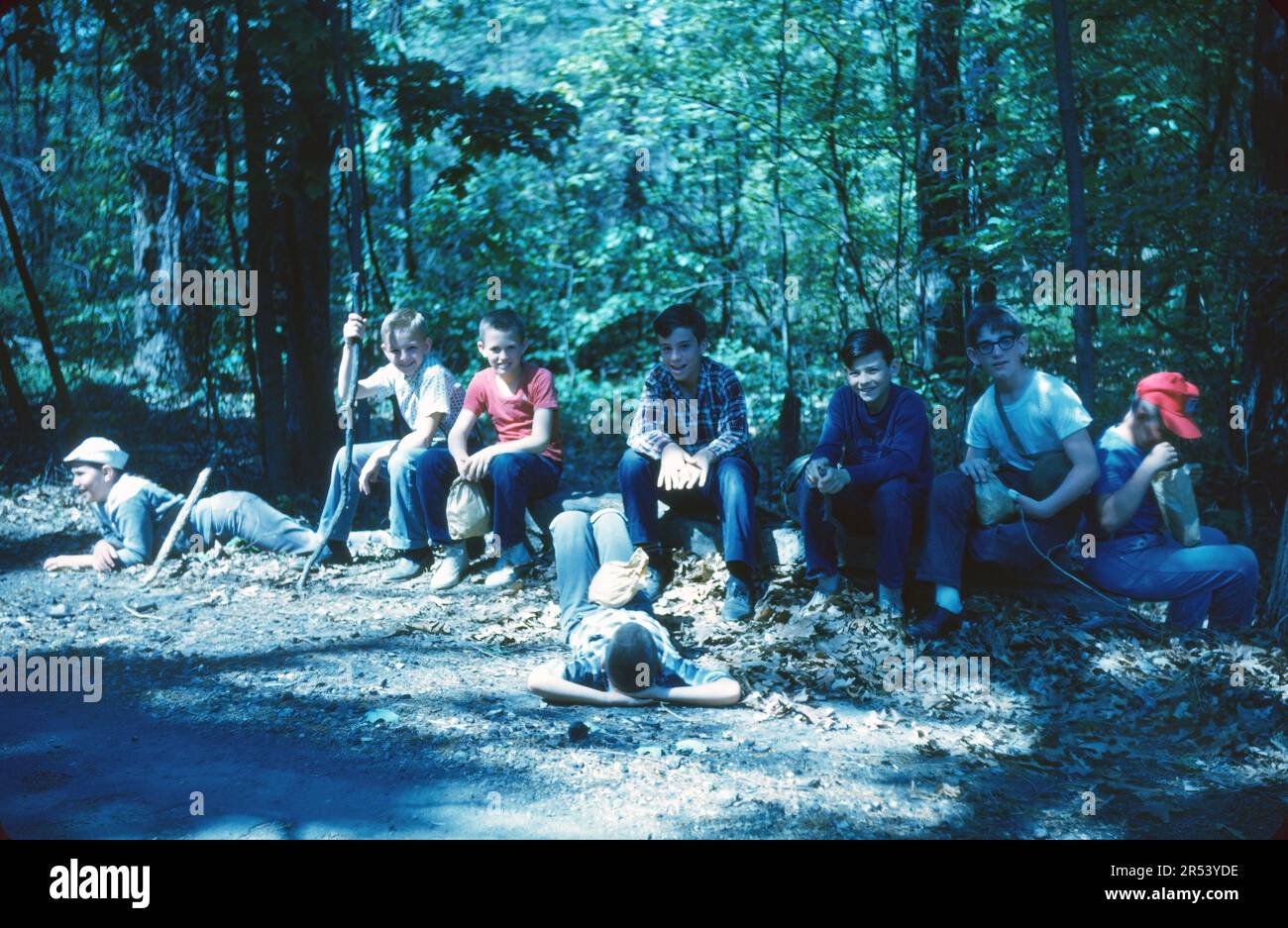 United States- 1962: Group of unidentified young boys (8) sitting on ...