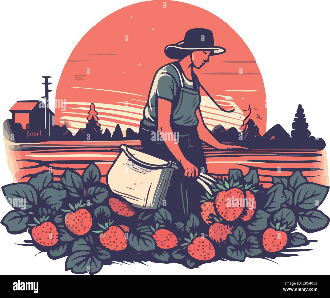 Woman harvesting strawberries Stock Vector Images - Alamy