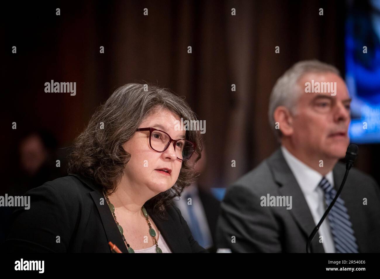 Washington, Vereinigte Staaten. 31st May, 2023. Thea D. Rozman Kendler ...