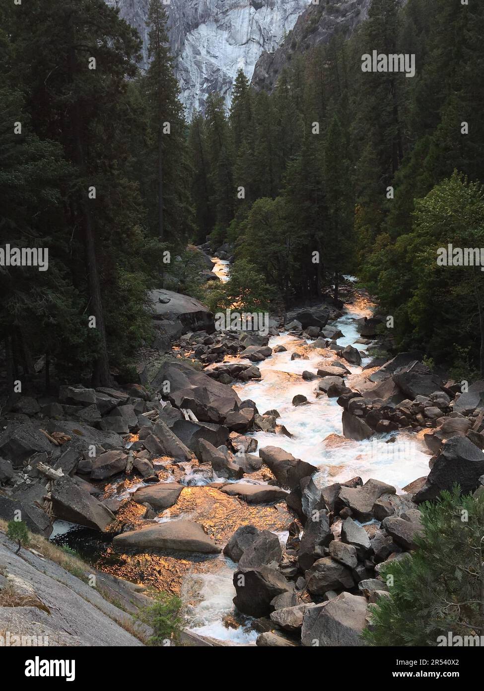 A river reflects the setting sun in the woods in Yosemite National Park ...