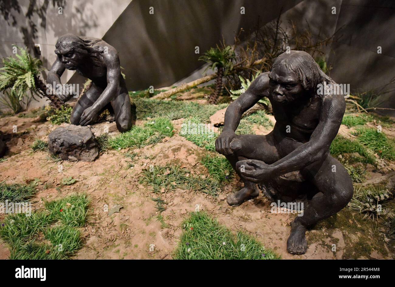 Beijing, China. 31st May, 2023. BEIJING, CHINA - MAY 31, 2023 - A sand ...