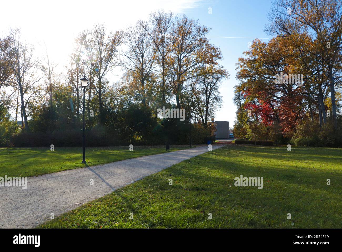 Picturesque view of park with beautiful trees and pathway on sunny day ...