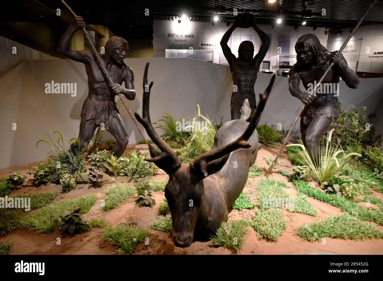 BEIJING, CHINA - MAY 31, 2023 - A sand table displays ancient human ...