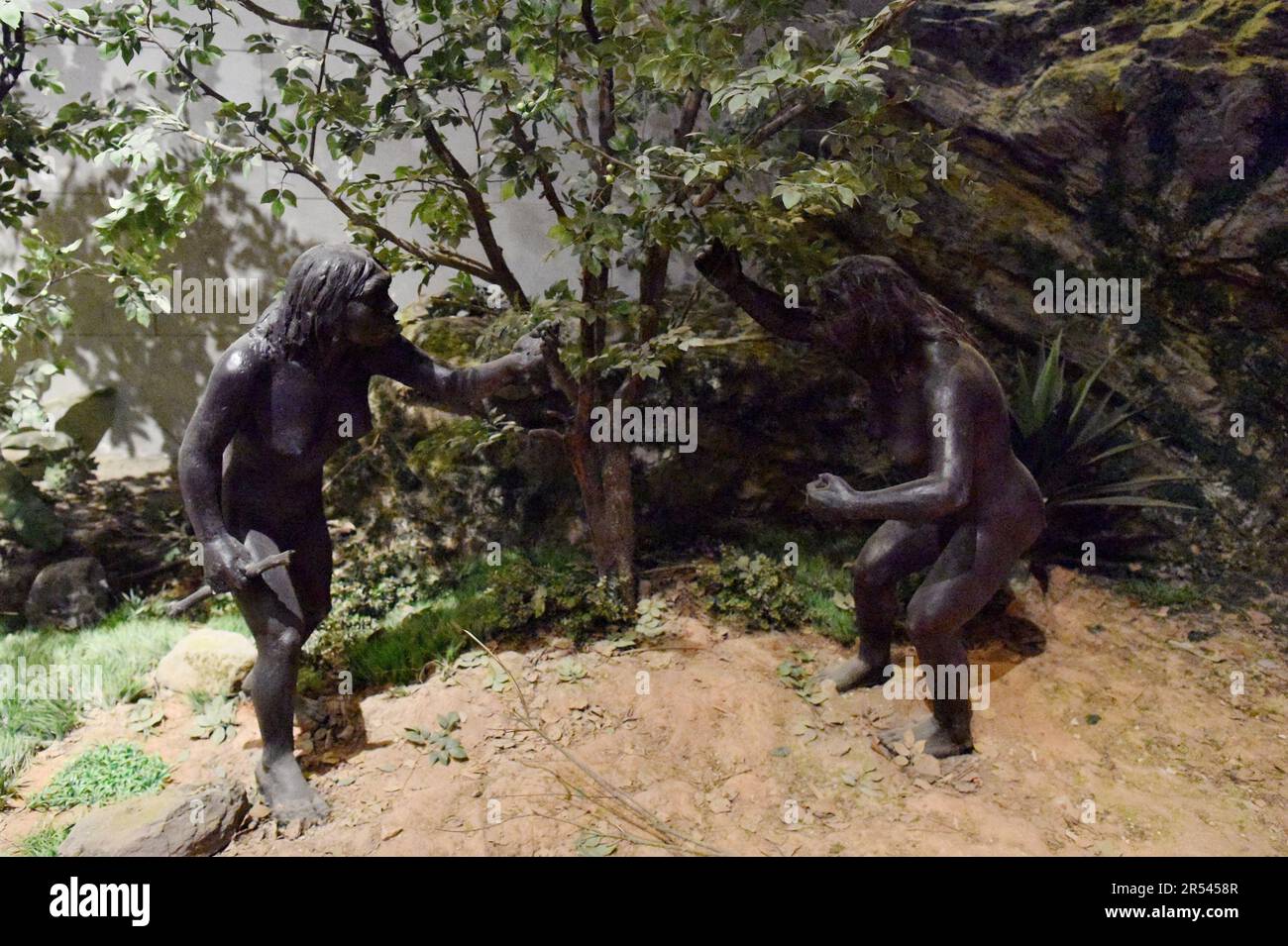 BEIJING, CHINA - MAY 31, 2023 - A sand table displays ancient human ...