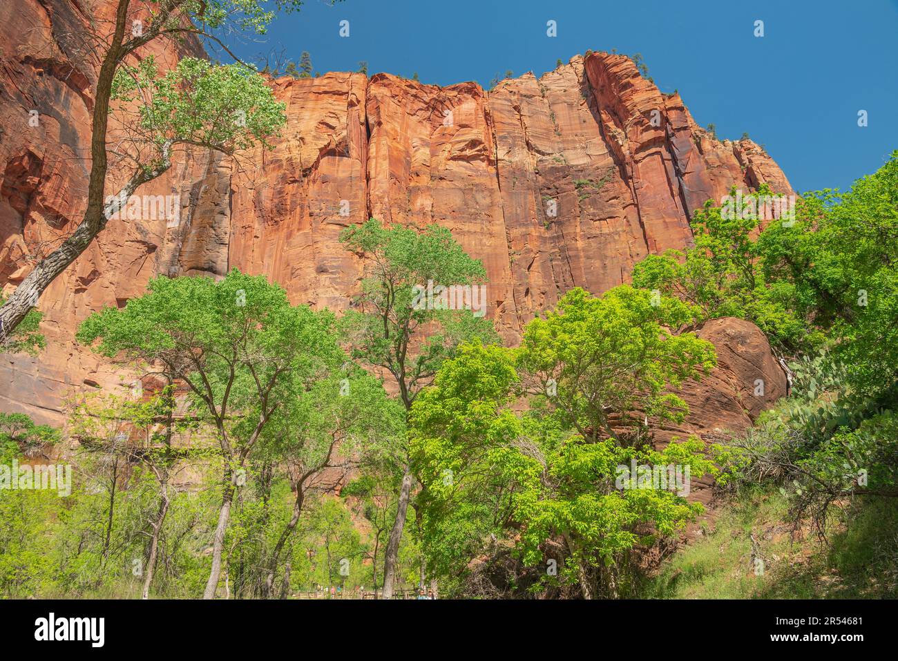 The rock stop zion national park hi-res stock photography and images ...