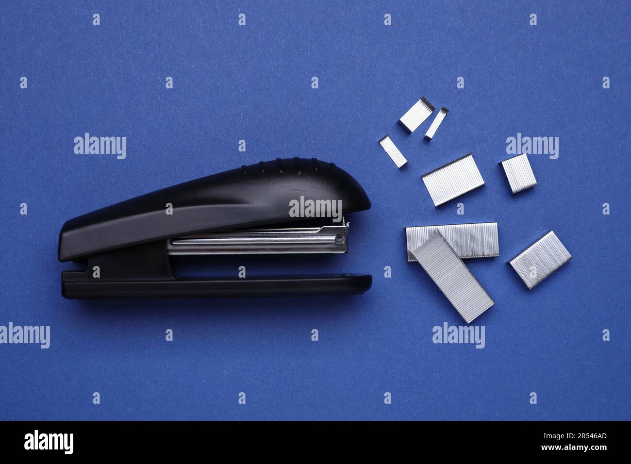 New bright stapler with staples on blue background, fat lay. School ...
