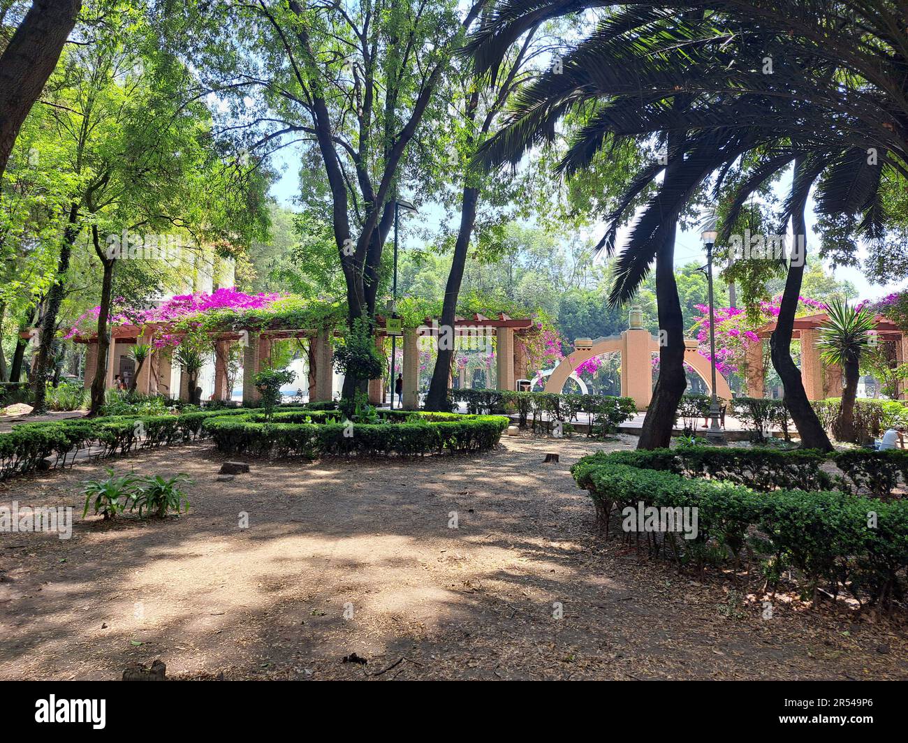 Mexico City, Mexico - Apr 24 2023: The Condesa neighborhood is ...