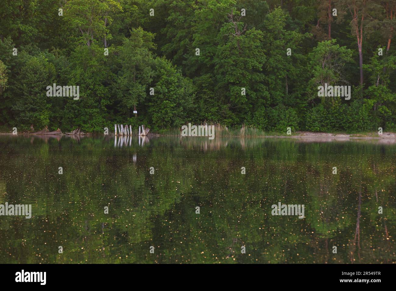 Strausberg, Germany. 31st May, 2023. Märkisch Oderland: The Straussee ...