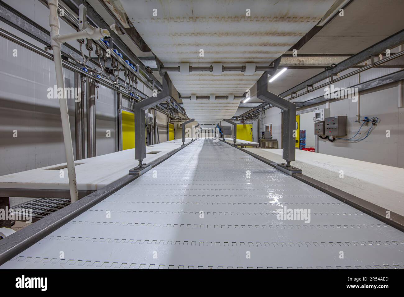 Meat processing machines at meat factory. Cutting meat in ...