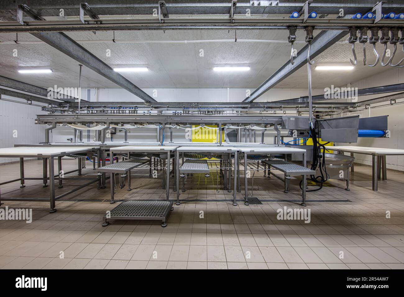 Meat processing machines at meat factory. Cutting meat in ...