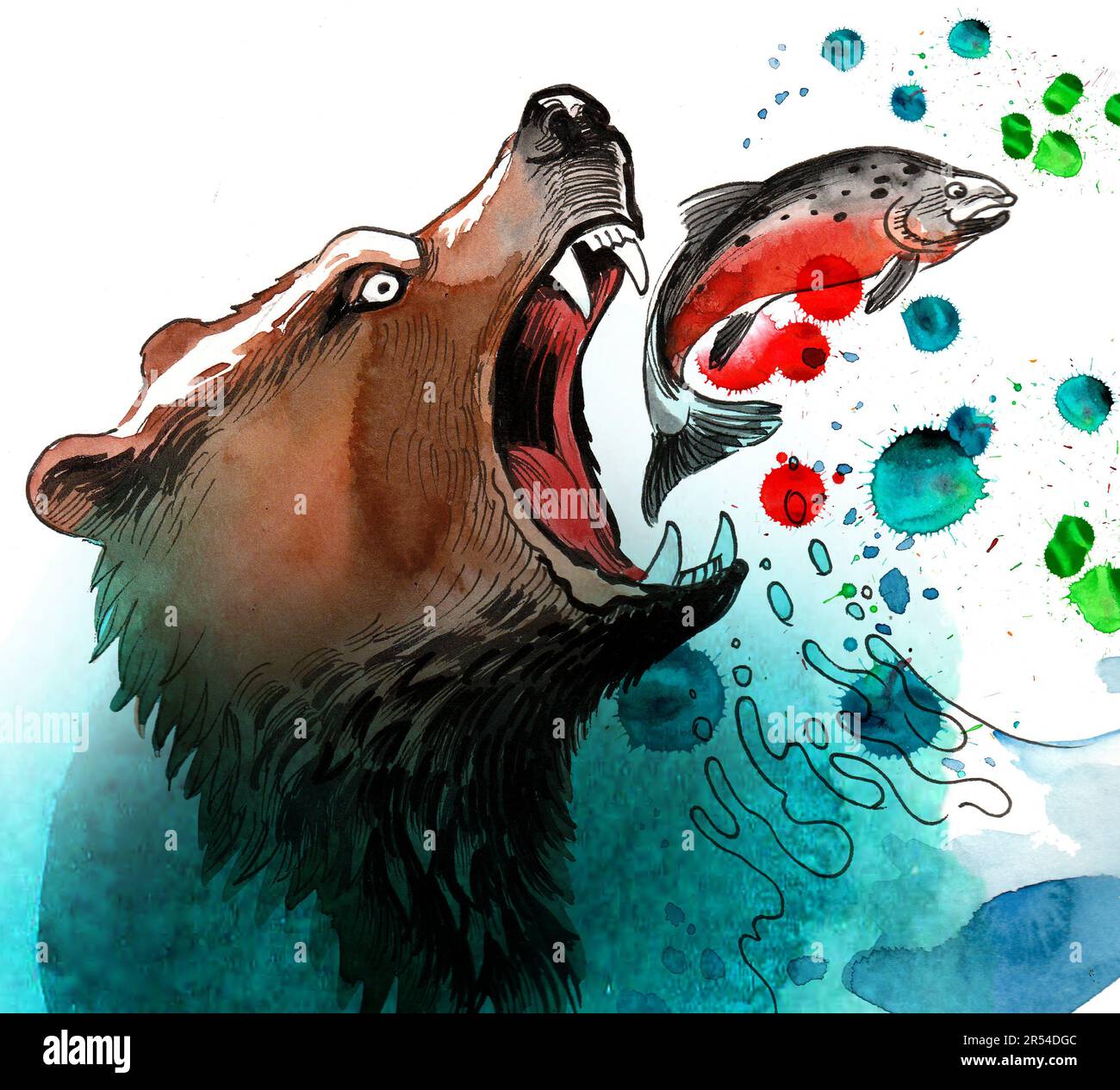 Grizzly bear catching a salmon fish. Hand-drawn ink and watercolor on ...