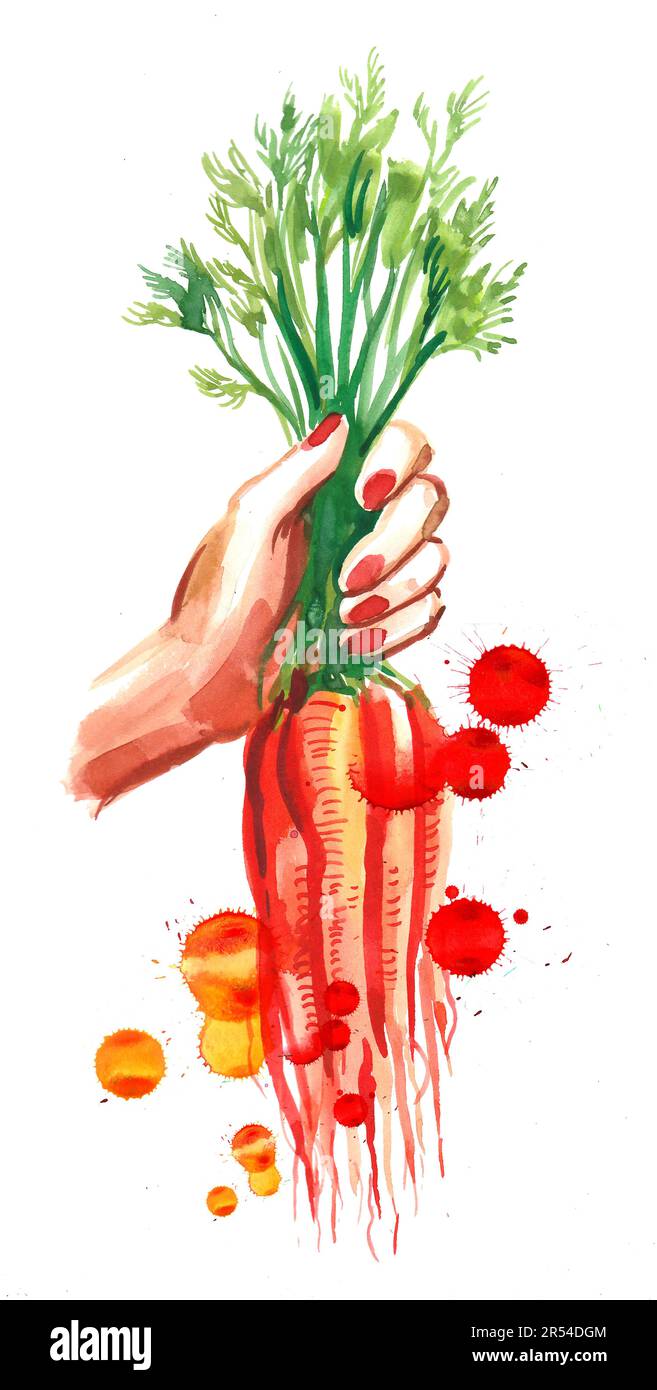 Bunch Of Carrots Drawing