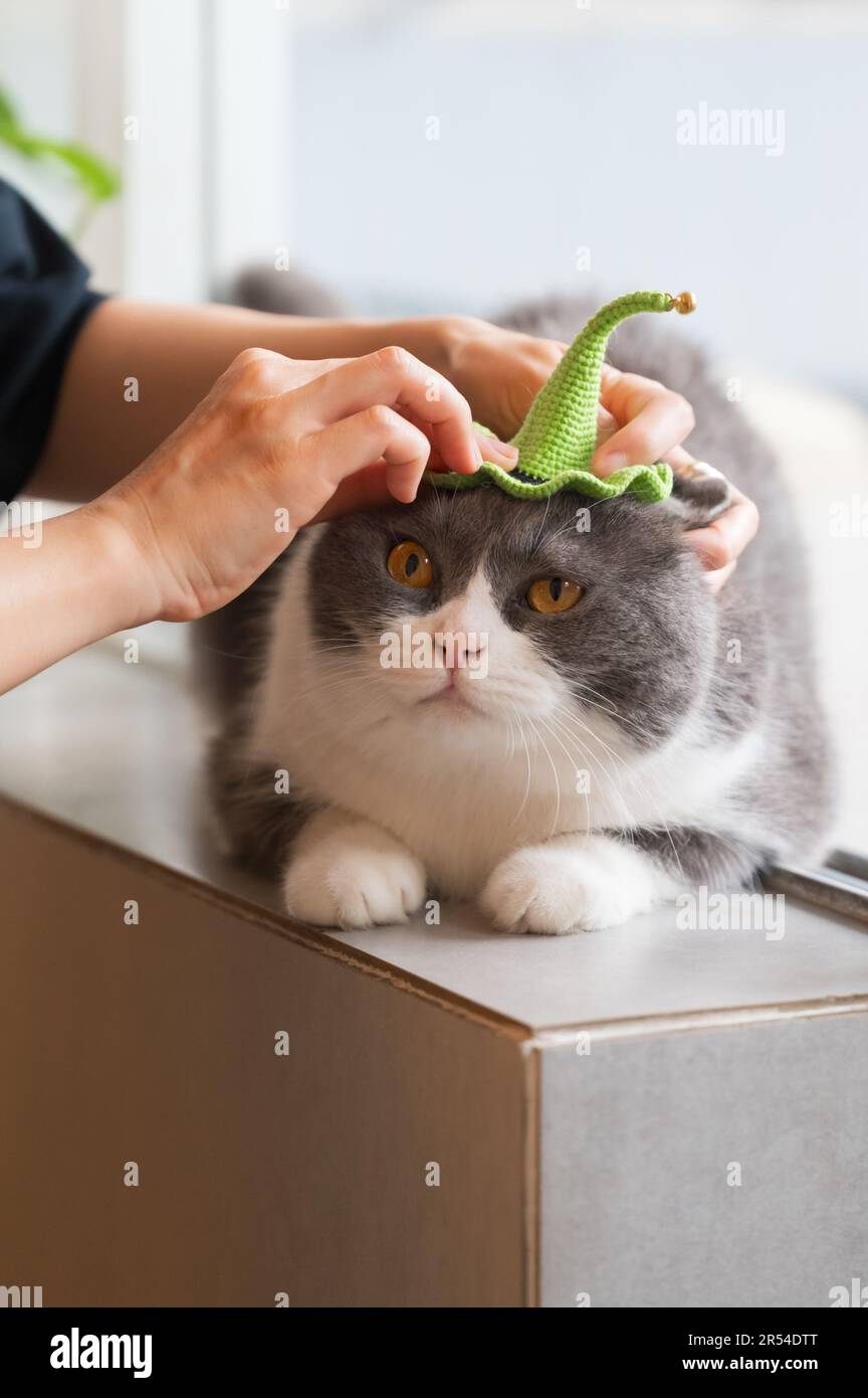Putting a hat hi-res stock photography and images - Alamy