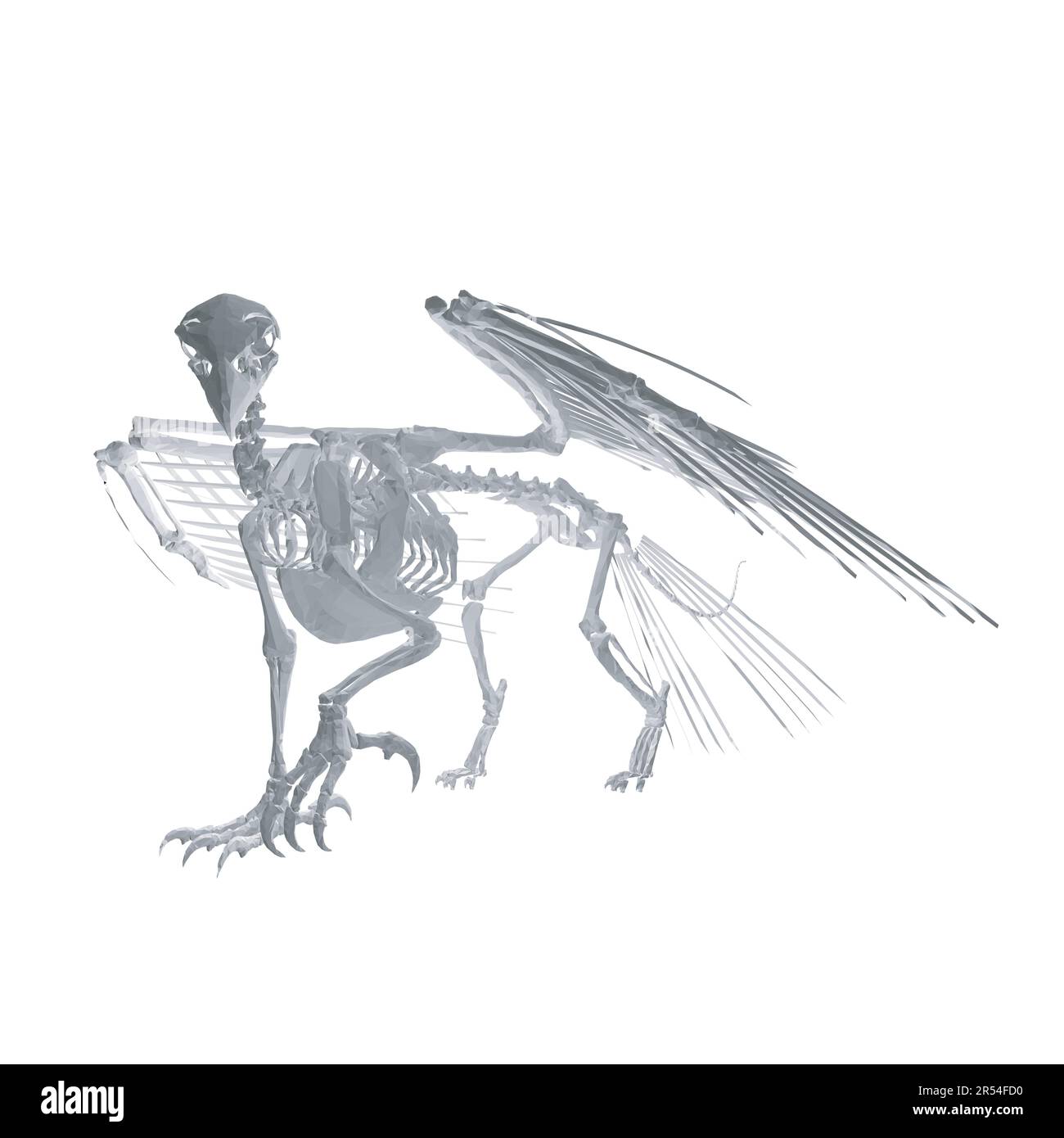 Pteronodon skeleton cartoon, Vector skeleton of extincted ancient ...