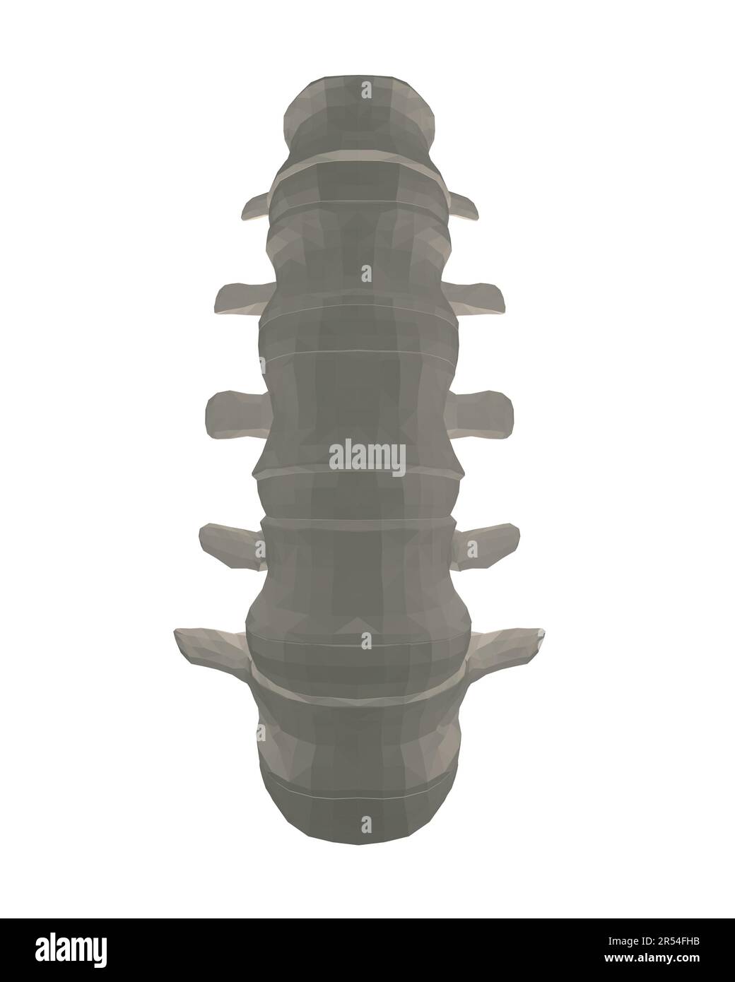 Vector illustration spine diagnostic symbol, design, sign. Vector icon ...