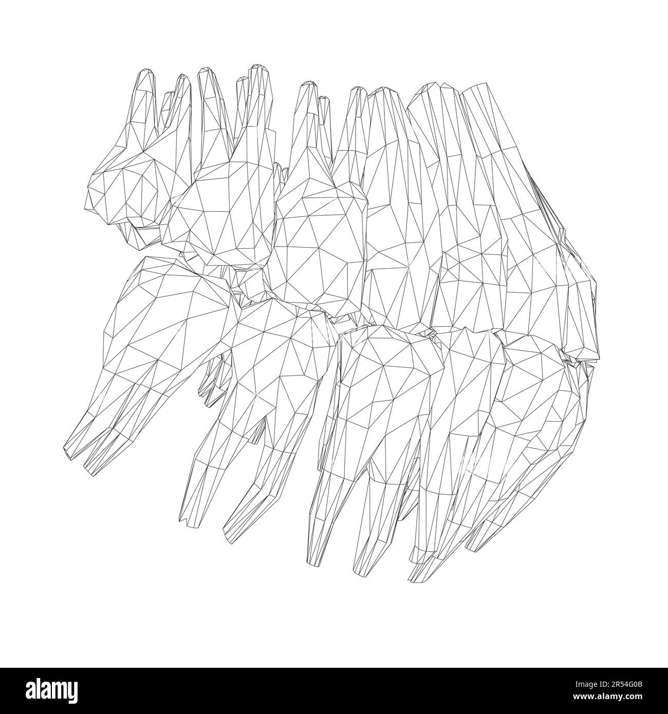 Teeth wireframe. Hand drawn different types of human tooth collection ...