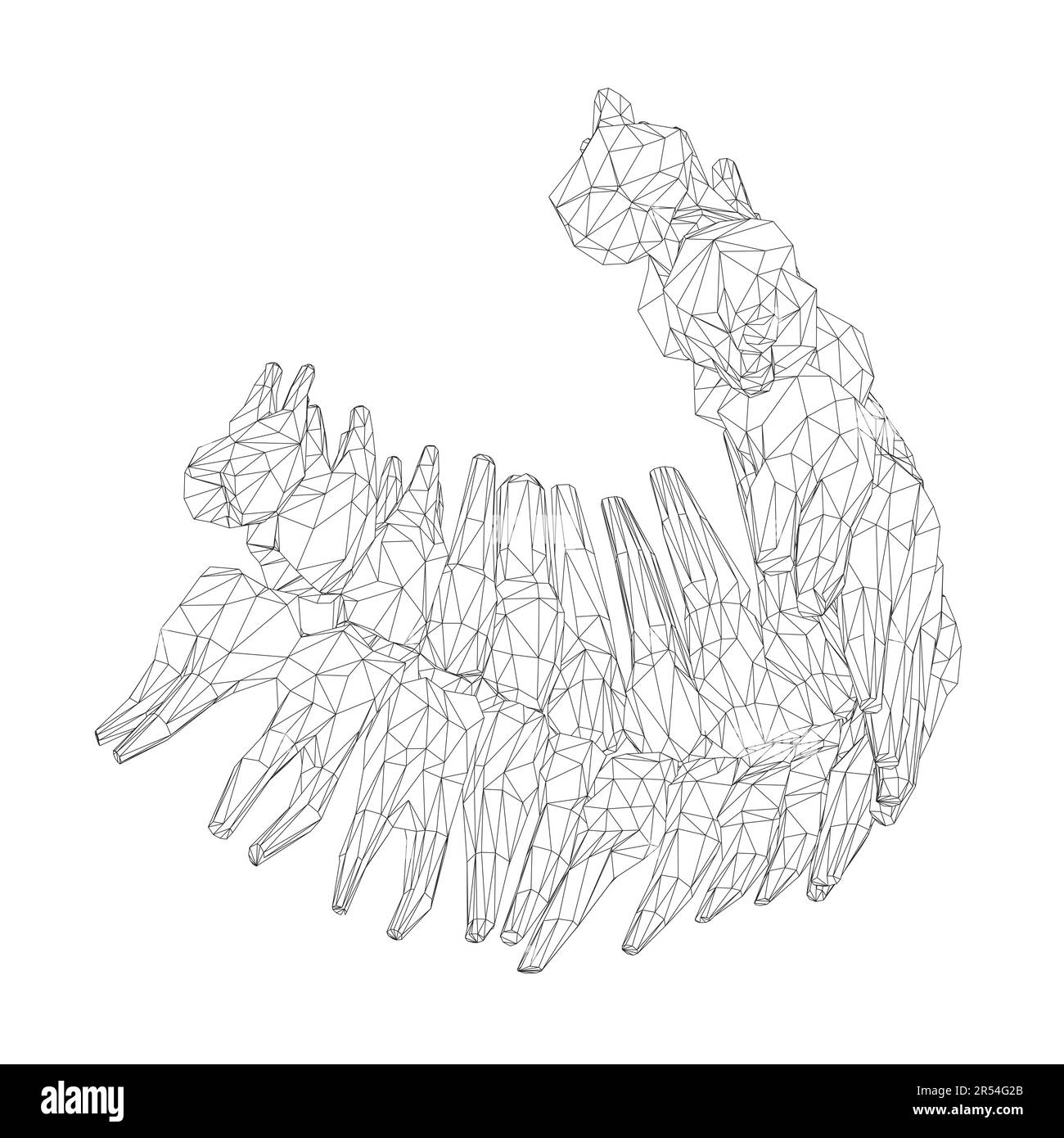 Teeth wireframe. Hand drawn different types of human tooth collection ...