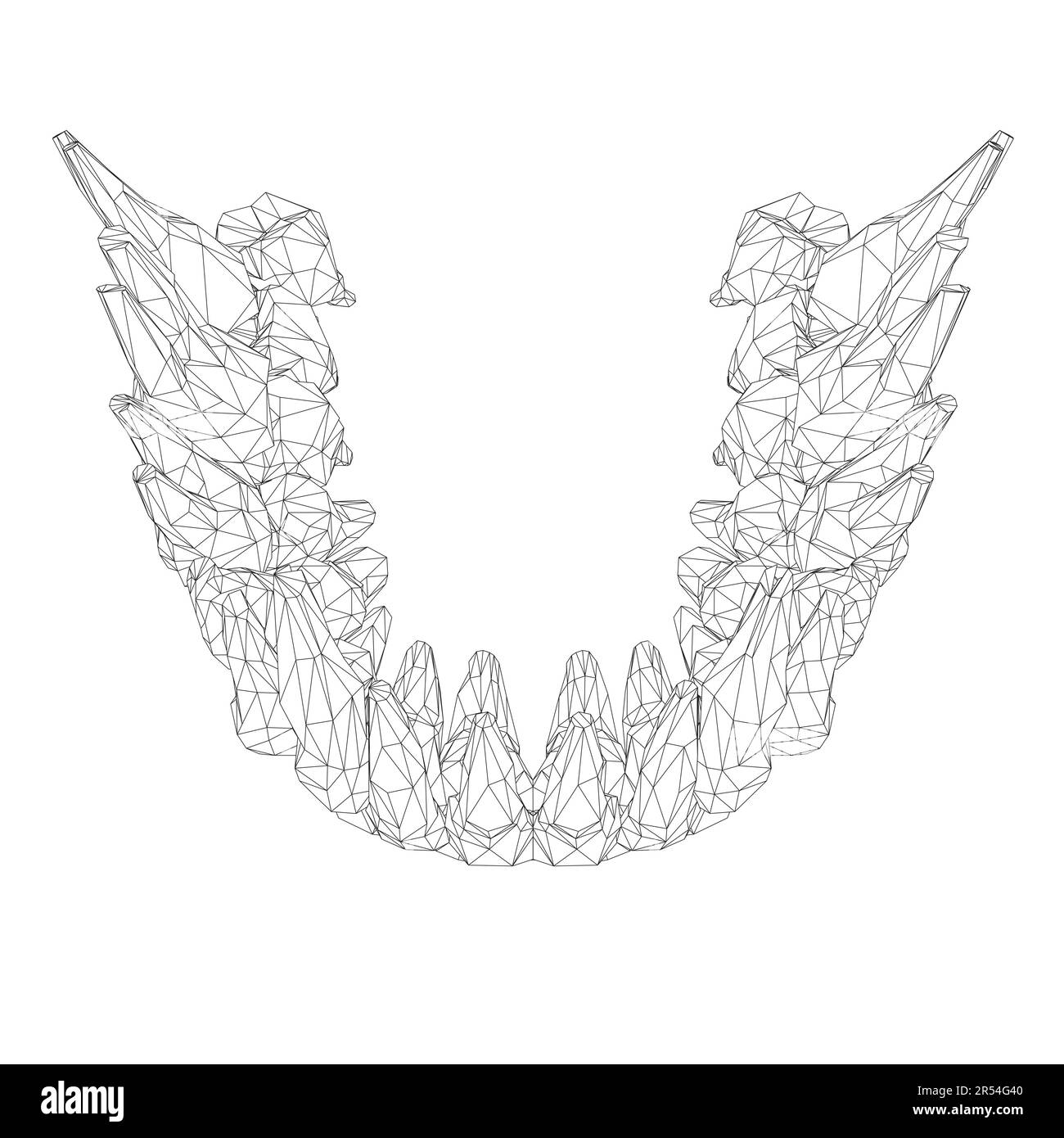 Teeth wireframe. Hand drawn different types of human tooth collection ...