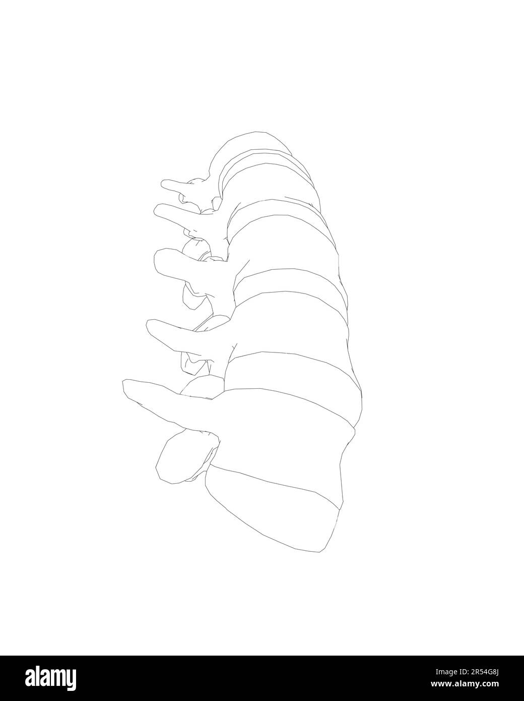 Vector illustration spine diagnostic symbol, design, sign. Vector icon ...