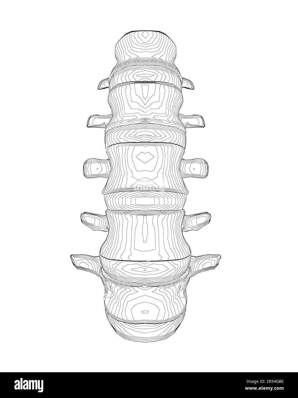 Vector illustration spine diagnostic symbol, design, sign. Vector icon ...