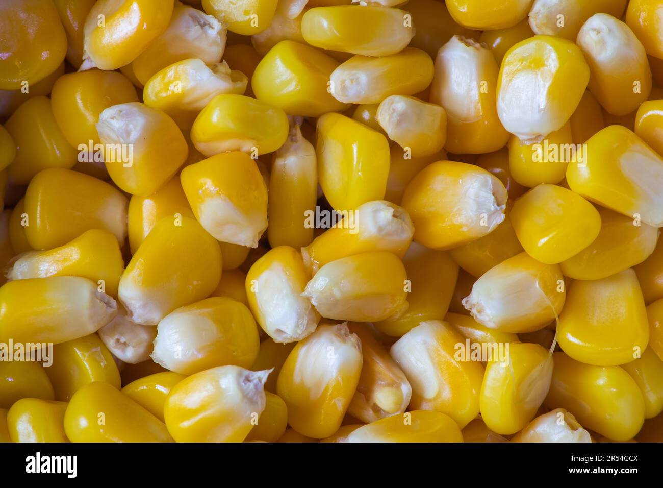 Loose kernels of steamed sweet corn Stock Photo - Alamy