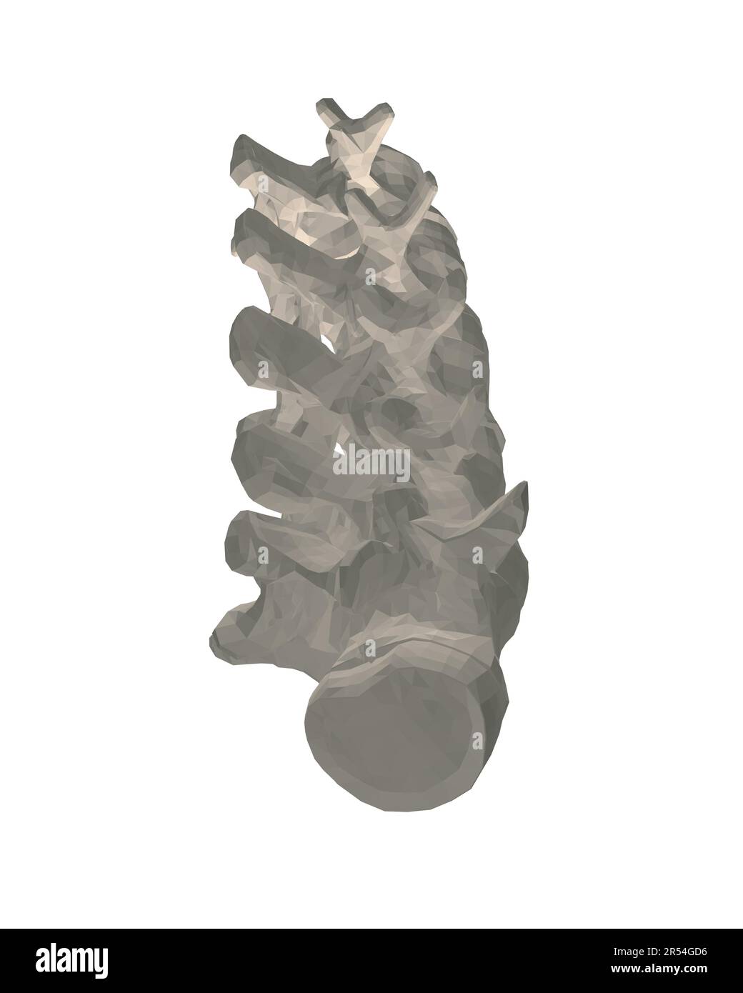 Lumbar vertebra drawing Stock Vector Images - Alamy