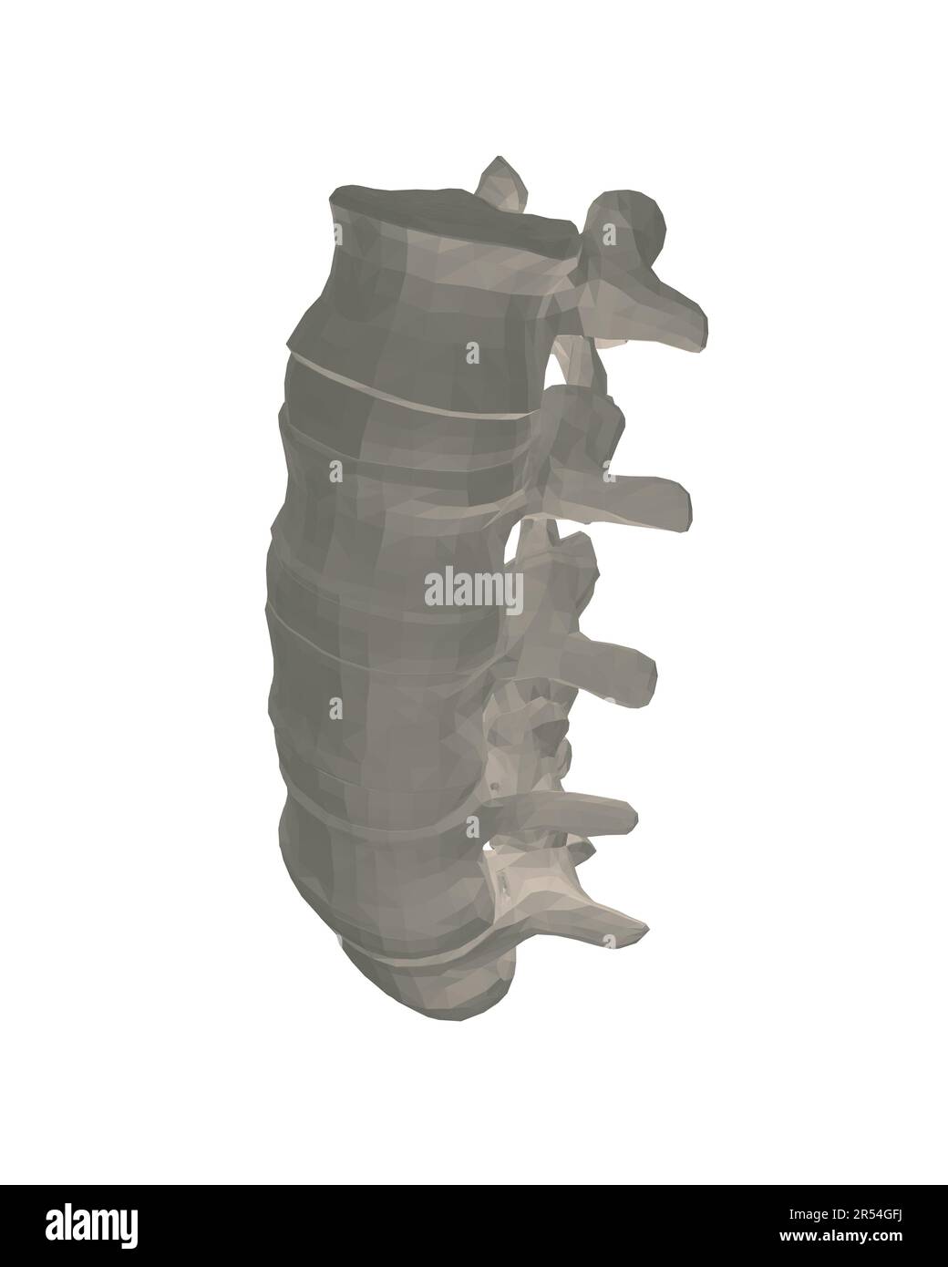 Vector illustration spine diagnostic symbol, design, sign. Vector icon ...