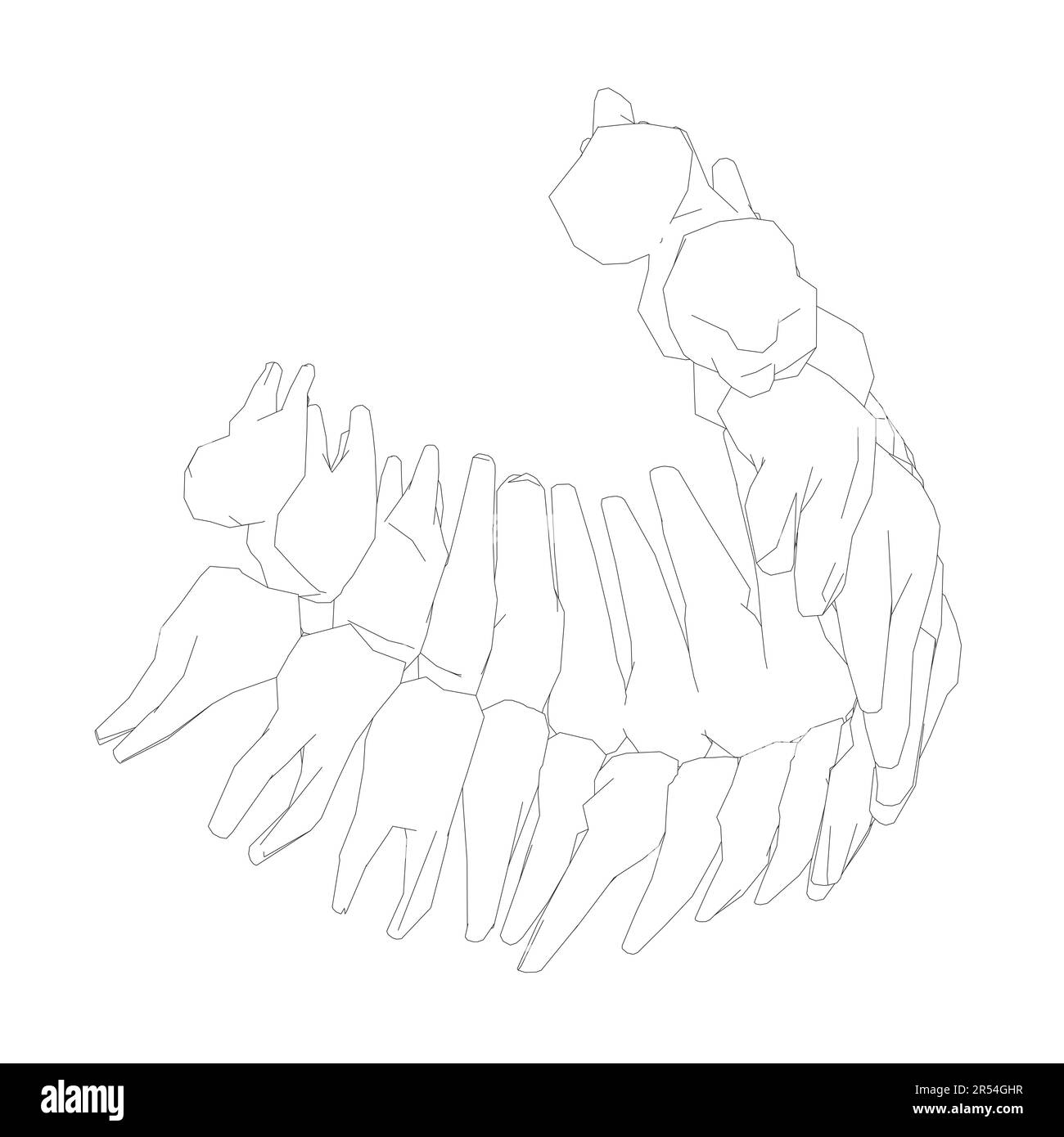 Teeth contour. Hand drawn different types of human tooth collection ...