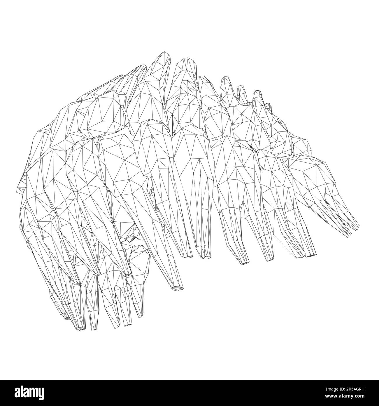 Teeth wireframe. Hand drawn different types of human tooth collection ...