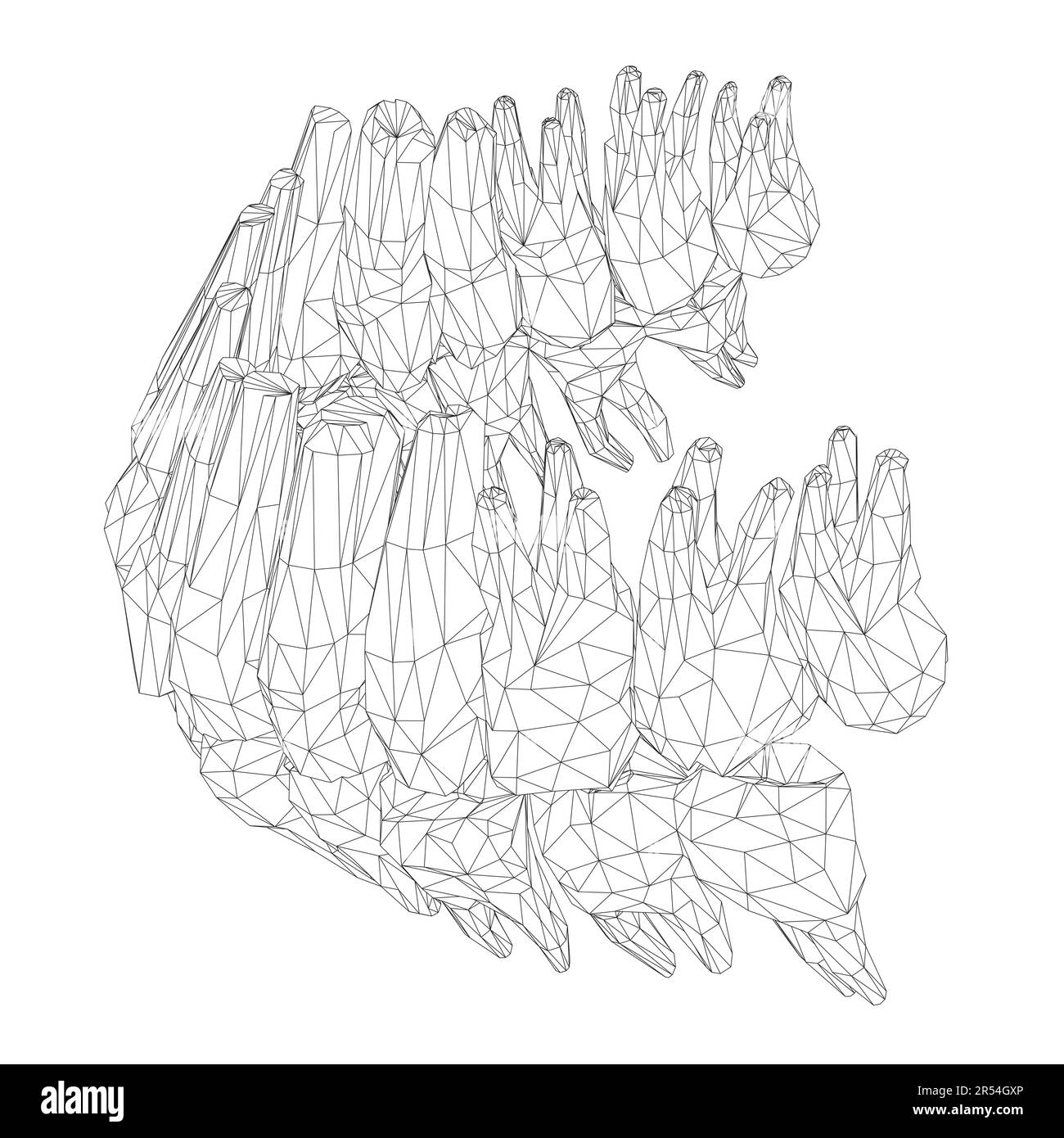 Teeth wireframe. Hand drawn different types of human tooth collection ...