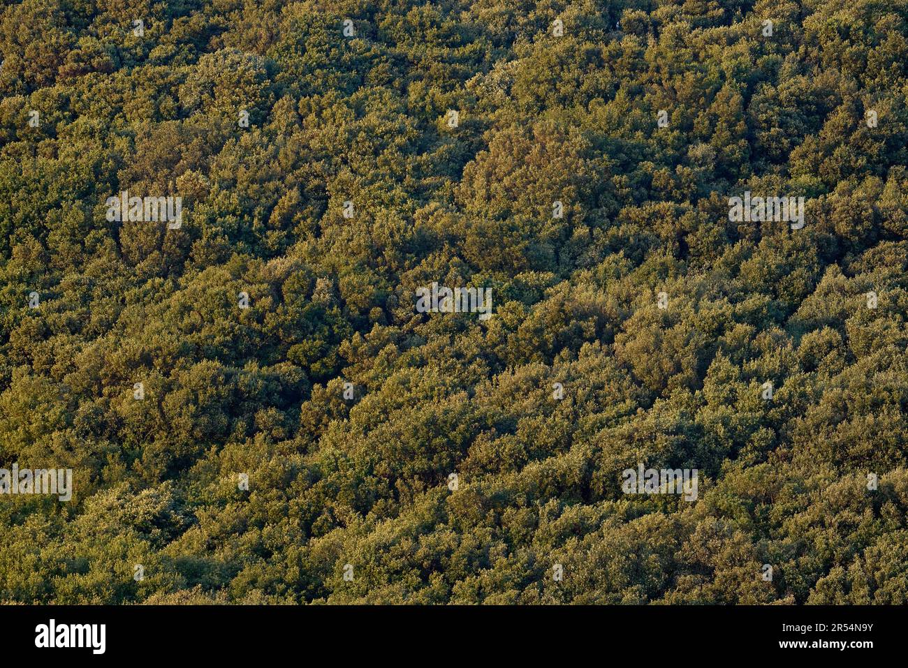 Hill texture hi-res stock photography and images - Alamy