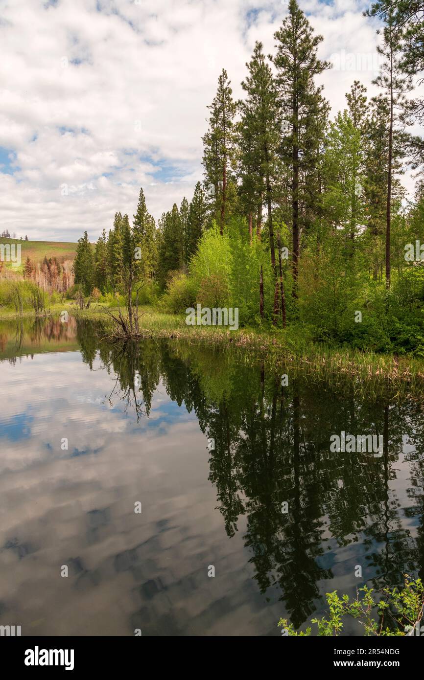 Winthrop pond hi-res stock photography and images - Alamy