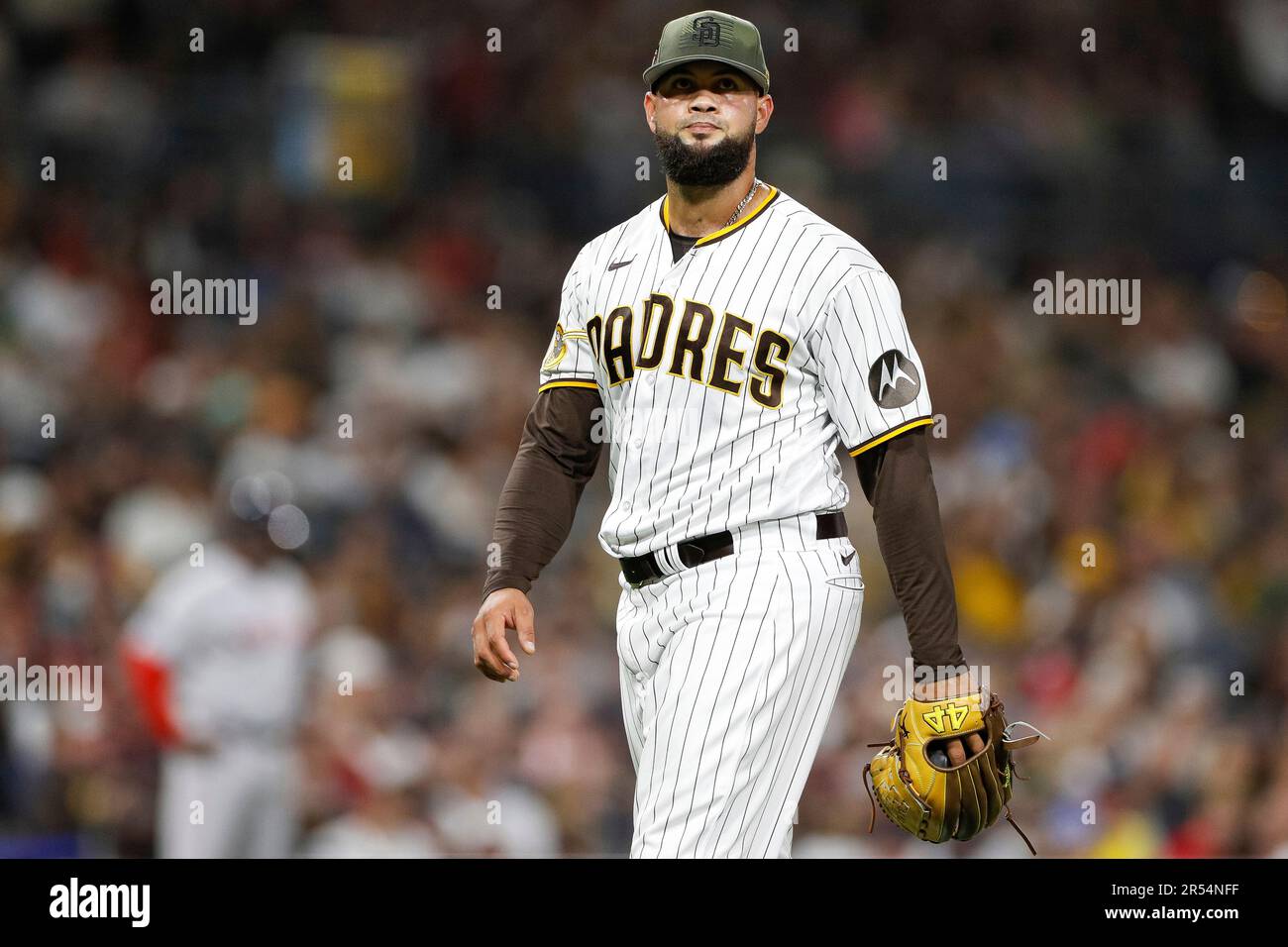 San Diego Padres relief pitcher Luis Garcia looks on during a baseball ...