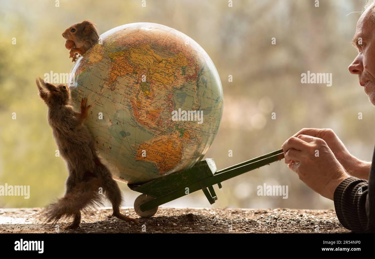 red squirrel and man with a earth globe Stock Photo - Alamy