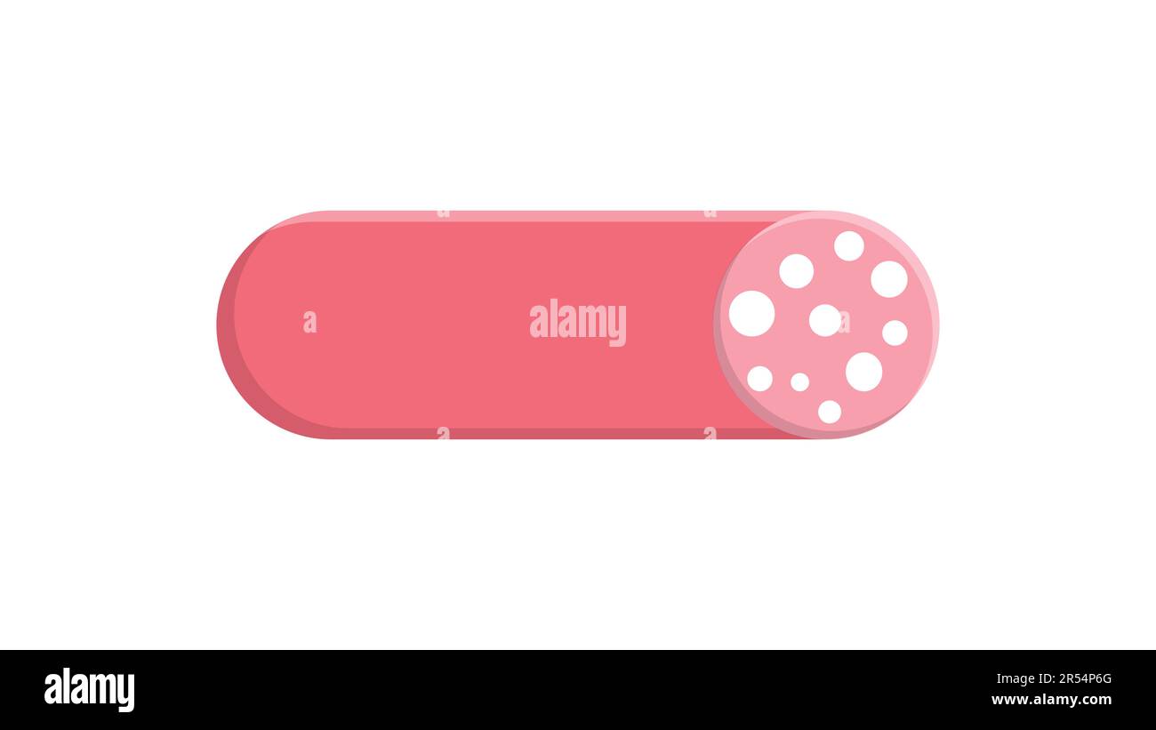 salami on a white background, vector illustration. meat sausage with ...