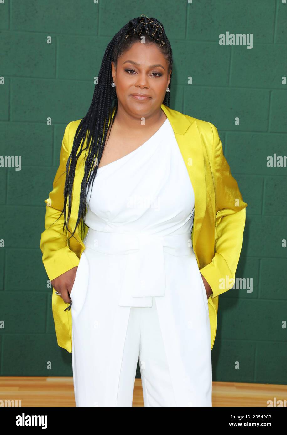 Westwood, USA. 31st May, 2023. Diane Howard arrives at The Shooting ...