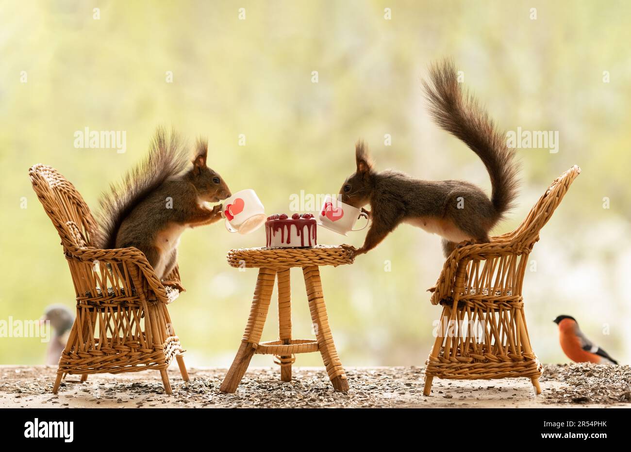 Red Squirrels with a table and cups with hearts Stock Photo - Alamy