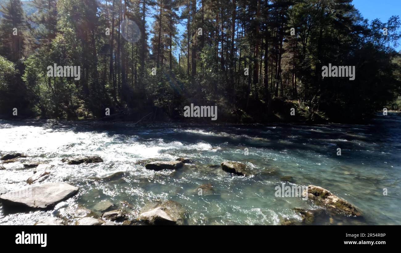 pretty fast mountain ridge stream with clear water at summertime day ...