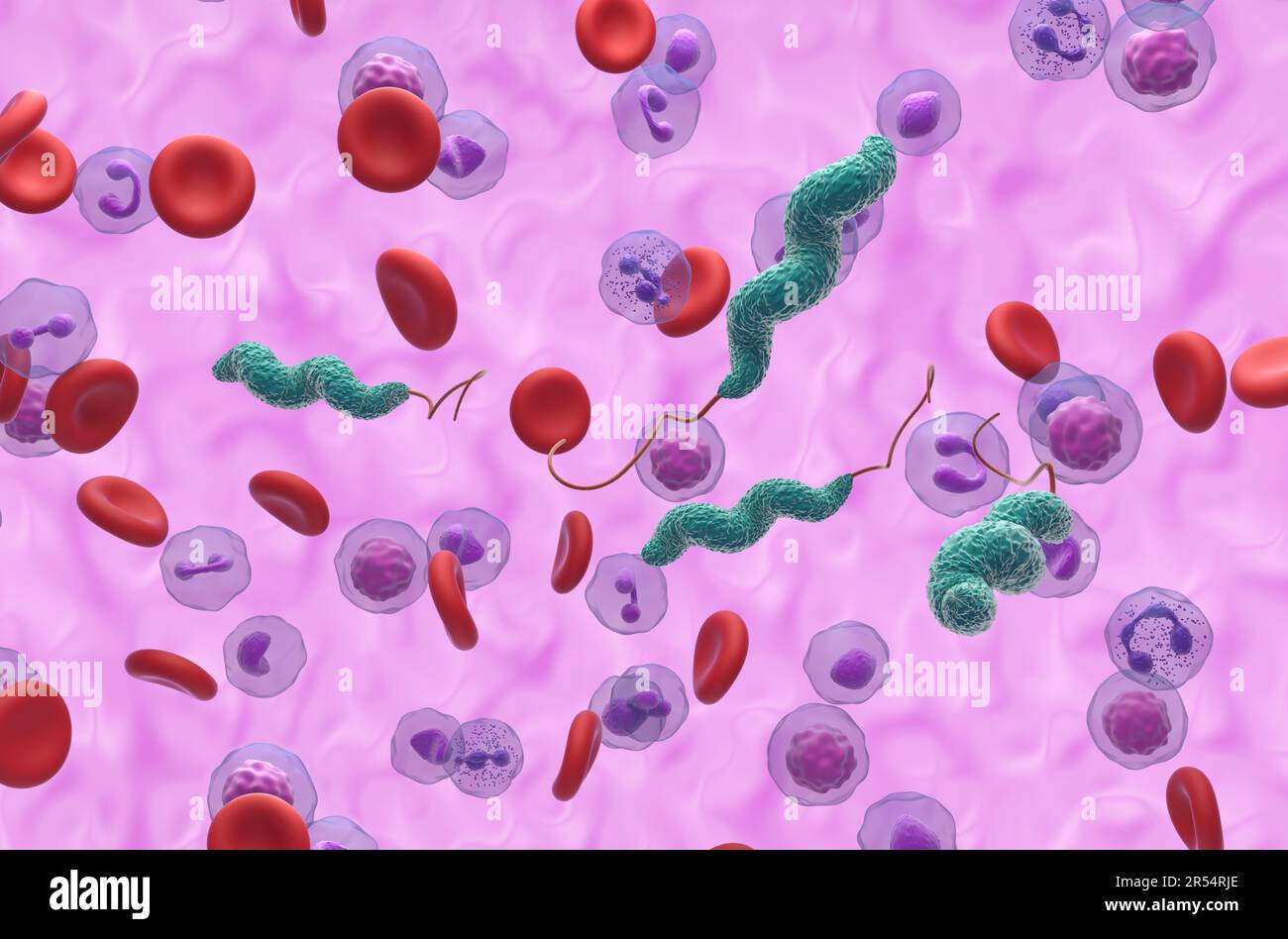 Coloring Pages Campylobacter Jejuni