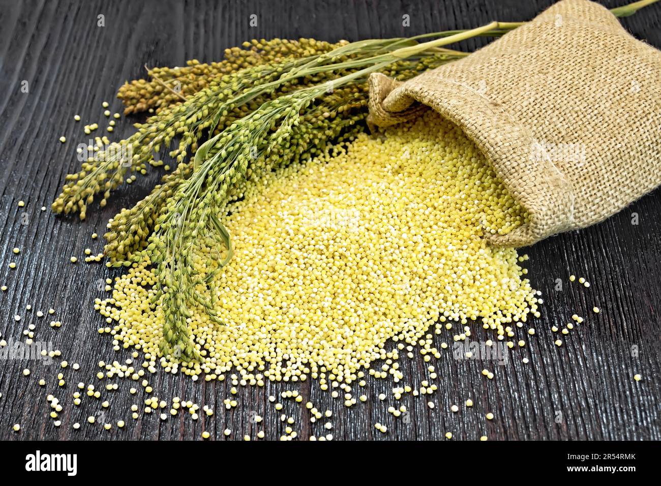 Eating ears of millet hi-res stock photography and images - Alamy