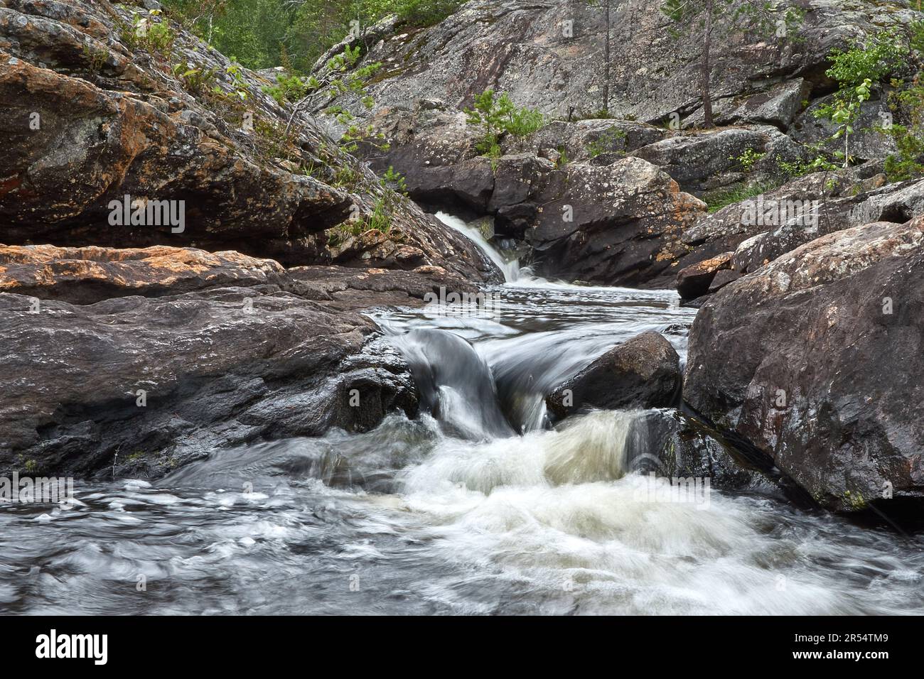 Babbling brook in green forest hi-res stock photography and images - Alamy