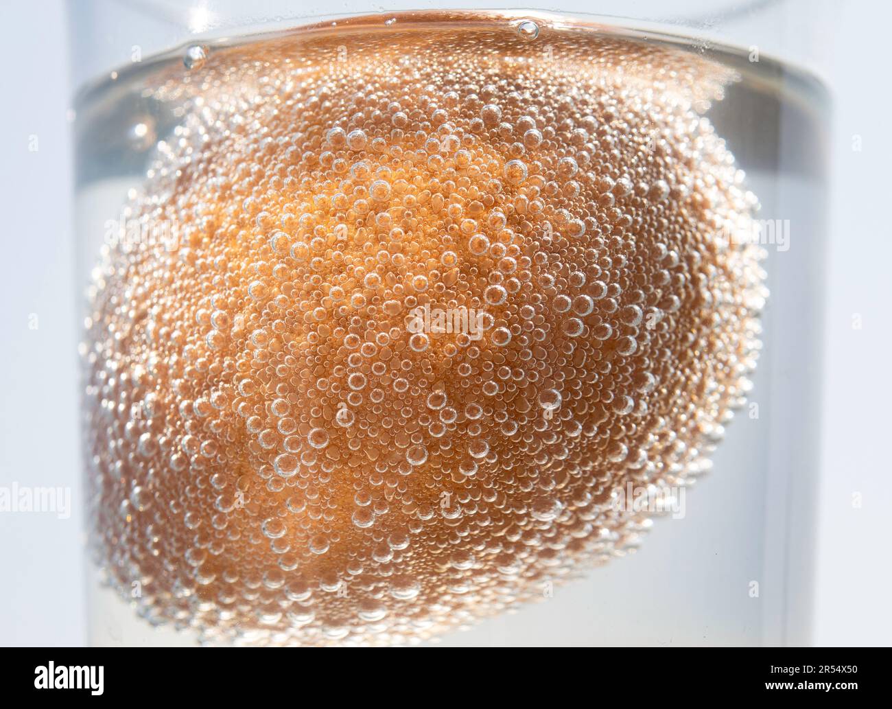 Eggs all in bubbles, gas bubbles on eggshells dipped in acid Stock ...